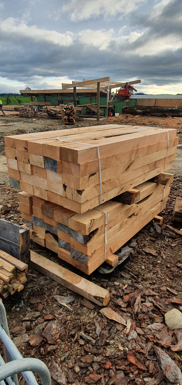 Macrocarpa Timber – Log Works Ltd